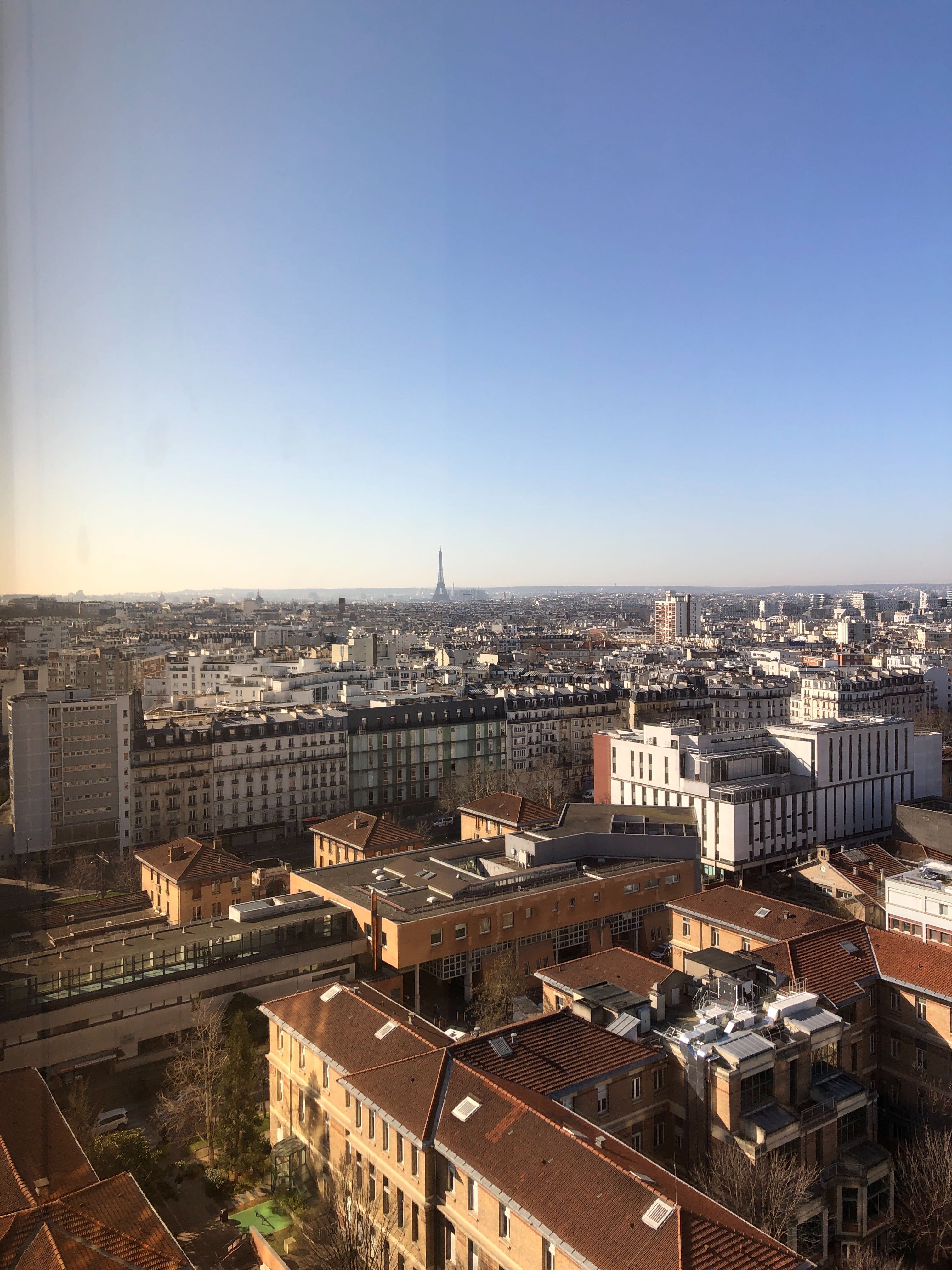 Hedia Launches Clinical Study in France to Optimize Type 1 Diabetes ...